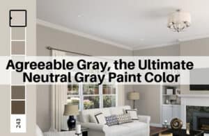 Agreeable Gray, the Ultimate Neutral Greige Paint Color - The Flooring Girl